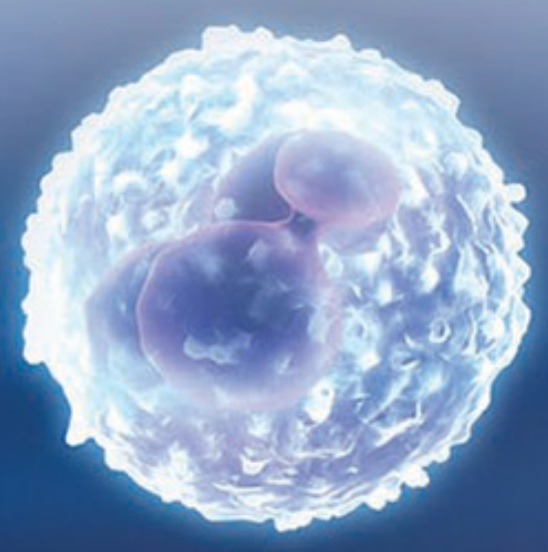 Patient Resources – The UK Photopheresis Society