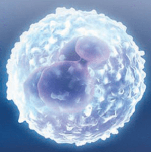 Patient Resources – The UK Photopheresis Society